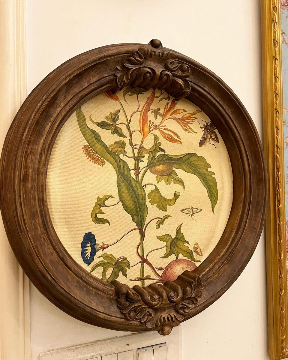 Circular frame with foliage cartouche – Parrot & Lily